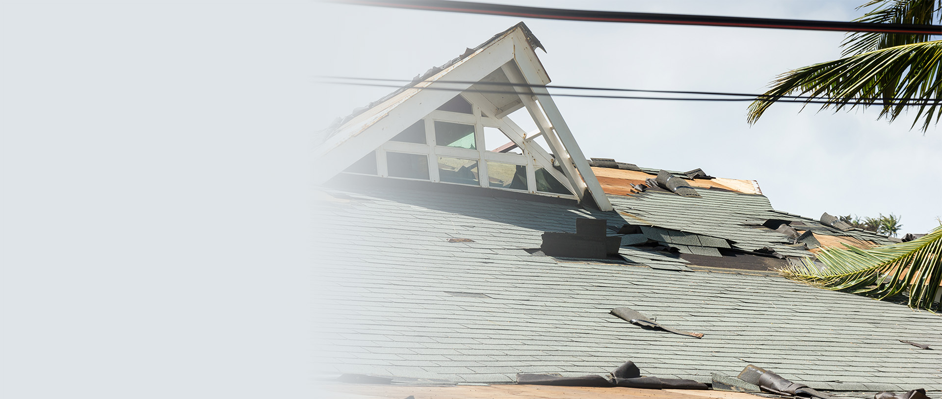 ALL PLUS – Restoration